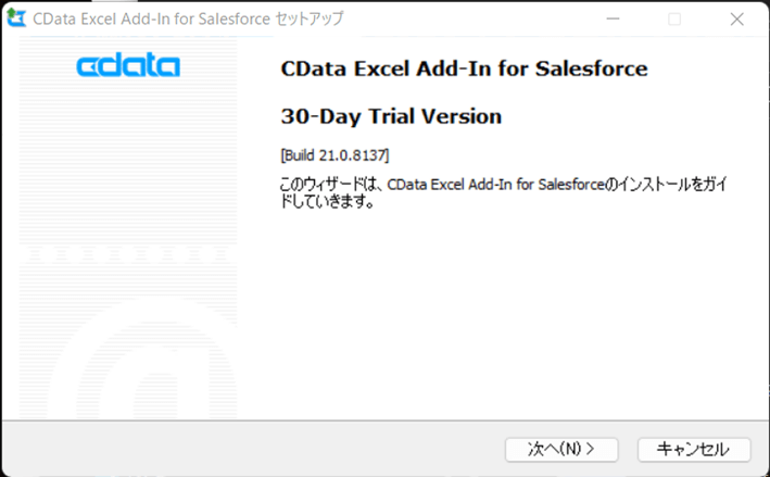 Excel でSalesforce 上のデータを直接集計して売掛金明細表を作成：CData Excel Add-Ins