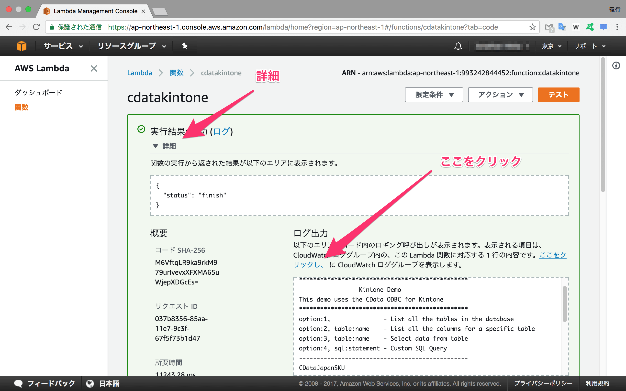 AWS LambdaからのPython&CData ODBC Driverによるkintoneデータ操作