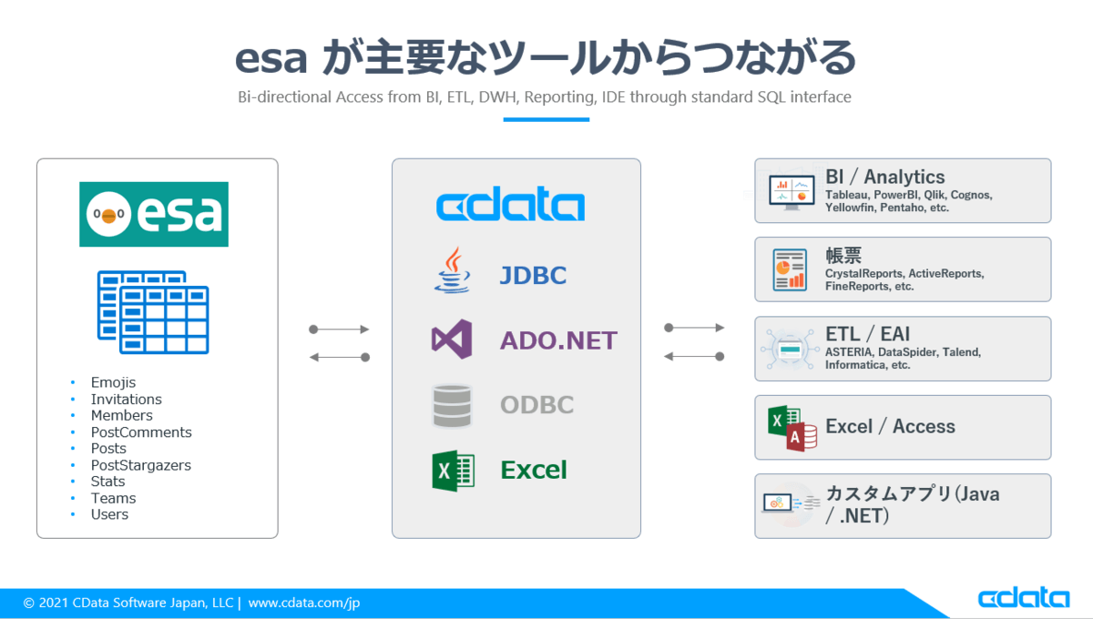 esa API を各種ツールから連携可能なコネクタ・ドライバー化：CData API Driver