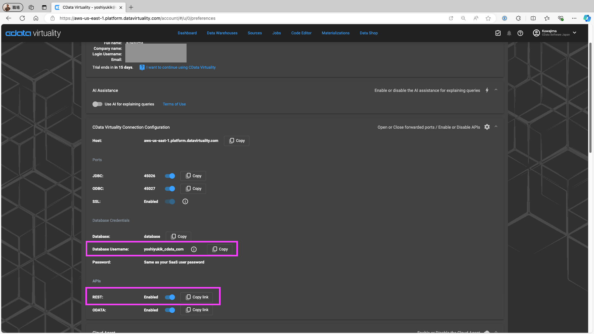 CData Virtuality - REST APIでの接続
