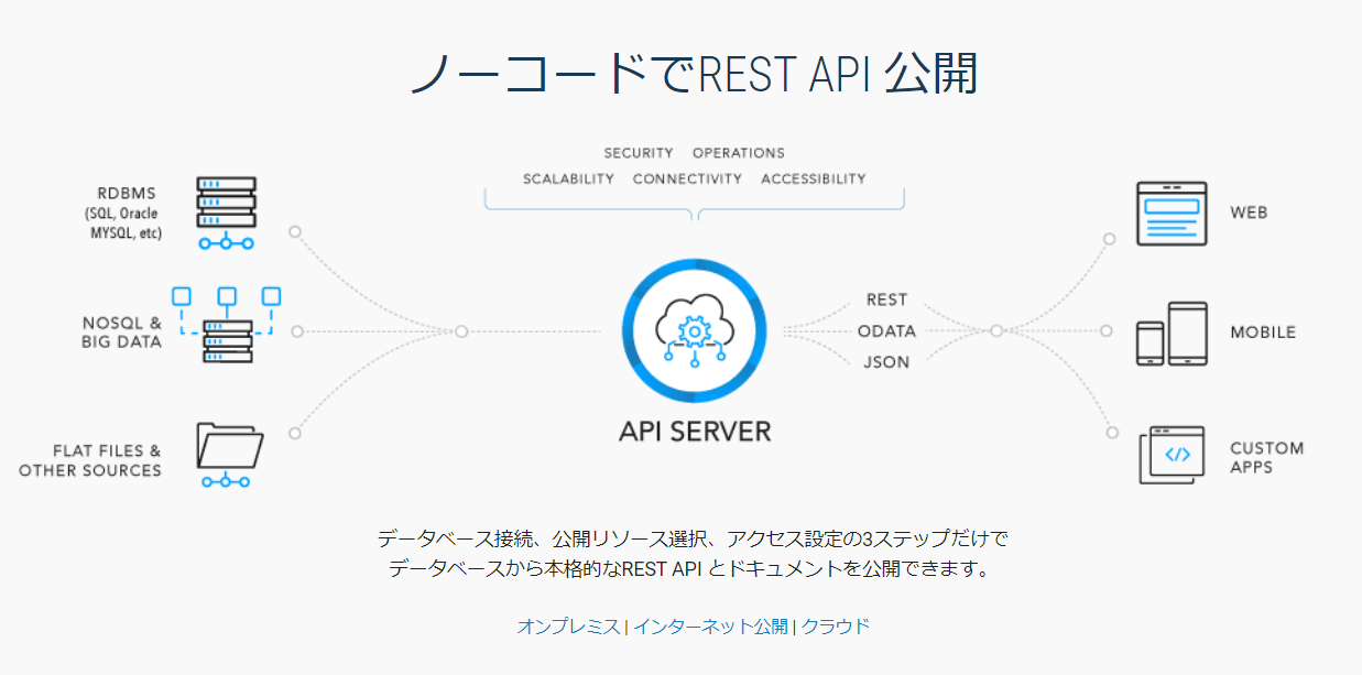 Cdata Api Server ハンズオンセミナー ～rdb からrest Api をノーコードで構築～