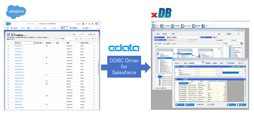 xDB（クロスデービー）でSalesforceのデータを参照する