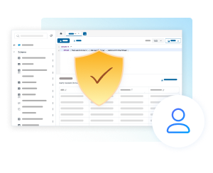 Implementing lite data governance for data connections
