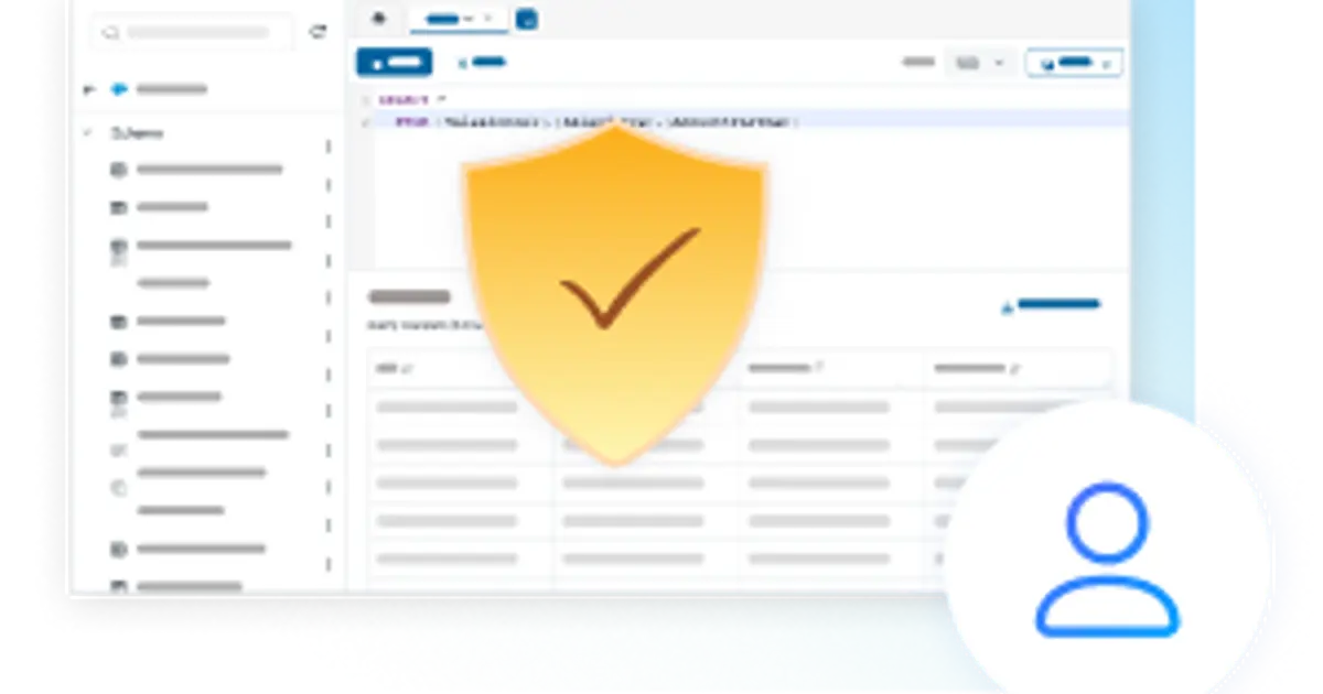 Implementing lite data governance for data connections