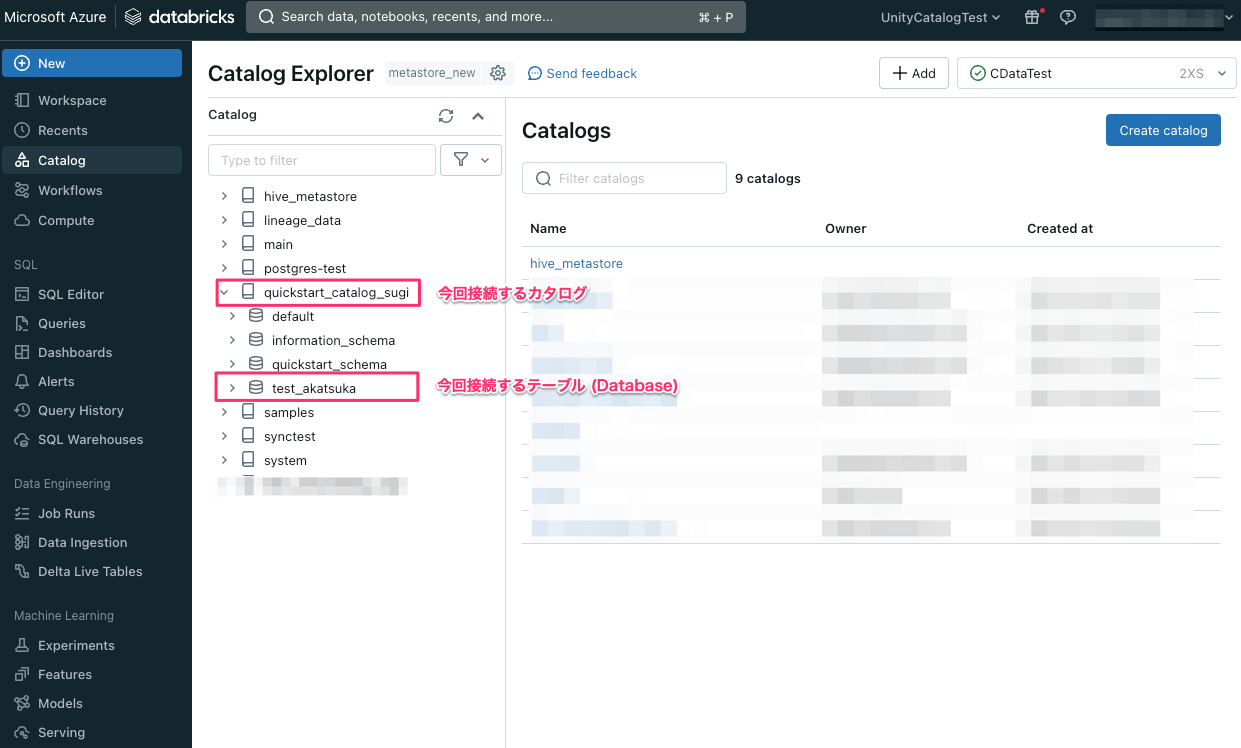 Databricks のUnity Catalog に SAP S/4HANA Cloud データをノーコードでレプリケーション